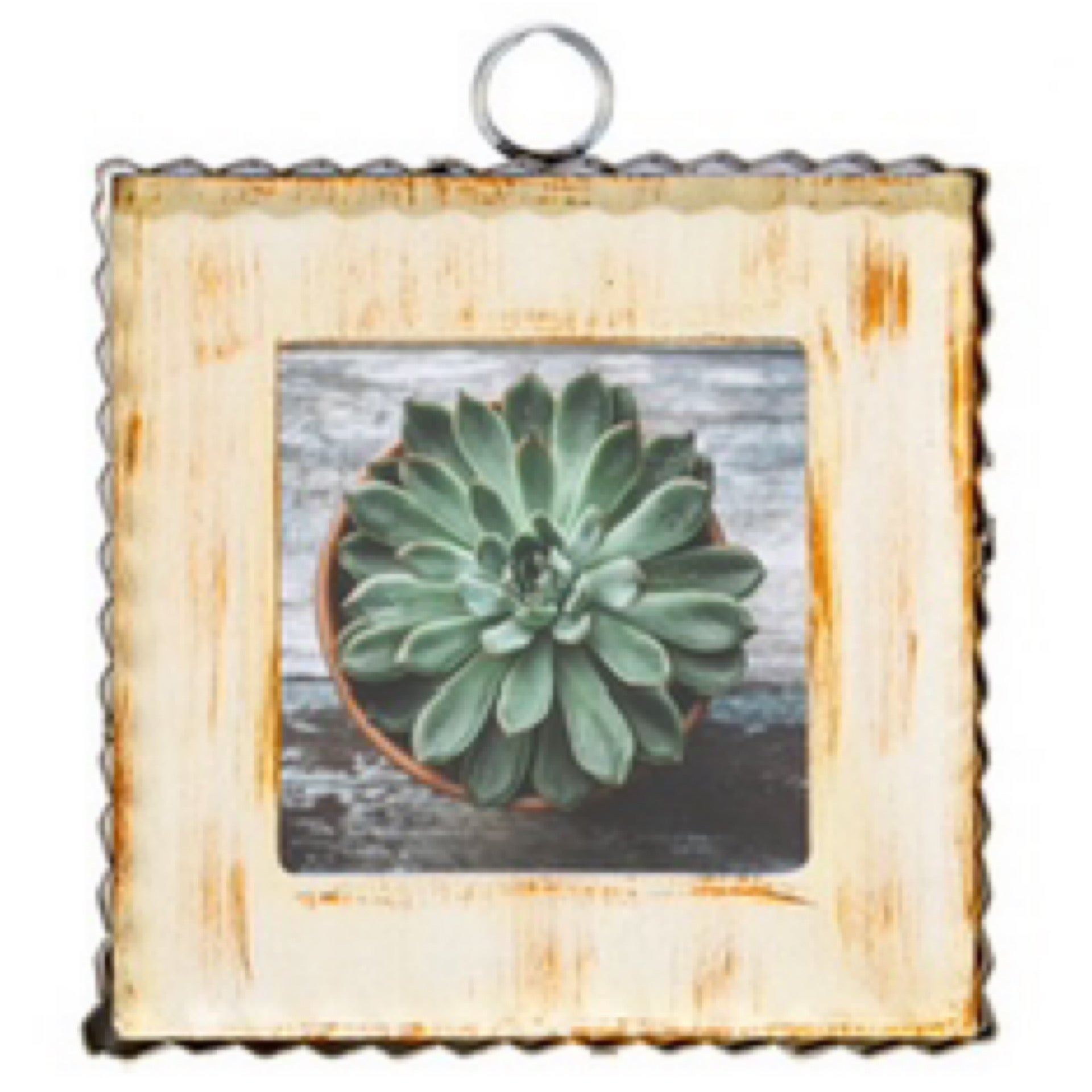 Pie Crust Photo Frame Cream | The Dotted Pig