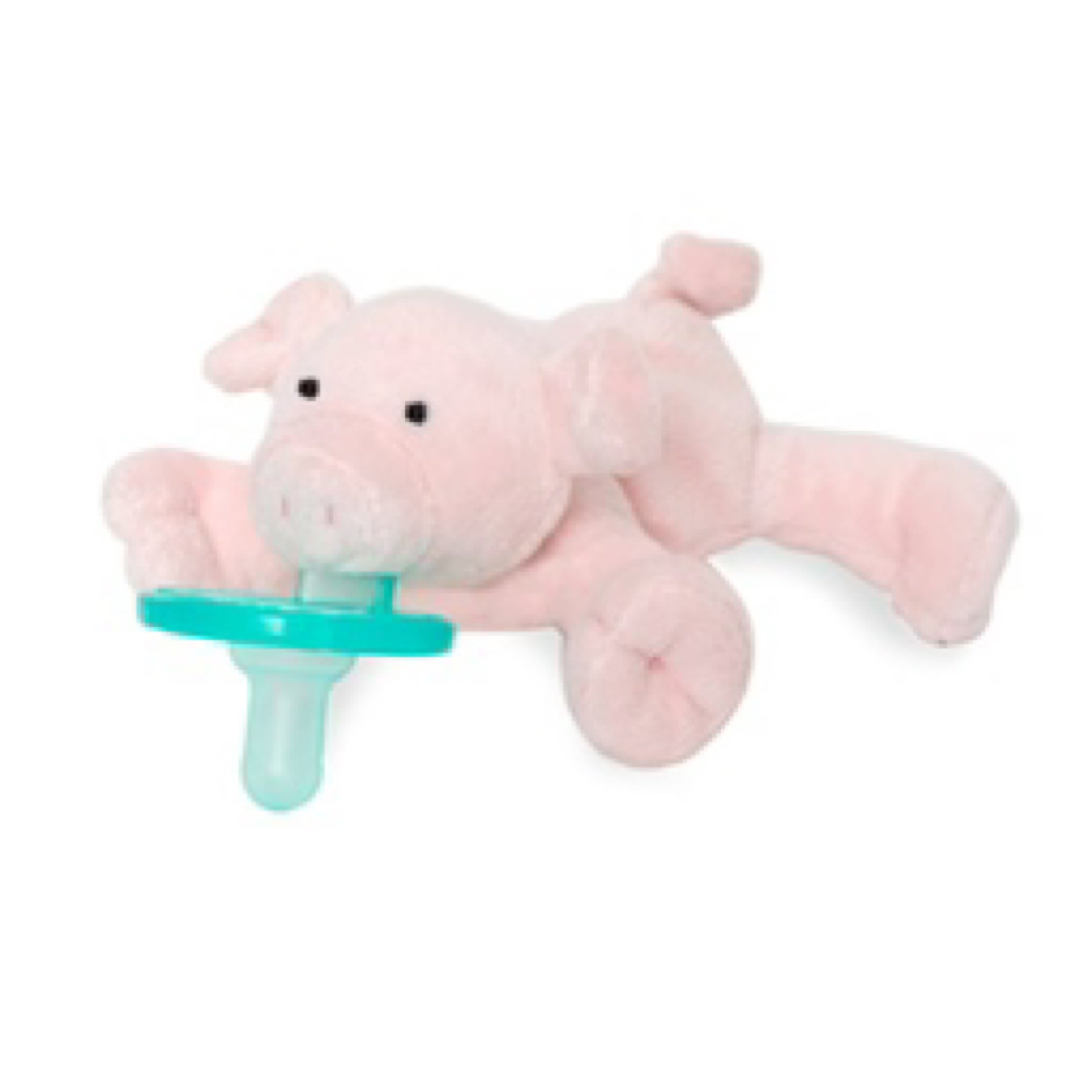 pacifier and friend | The Dotted Pig